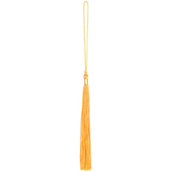 Science & Engineering Gold Tassel